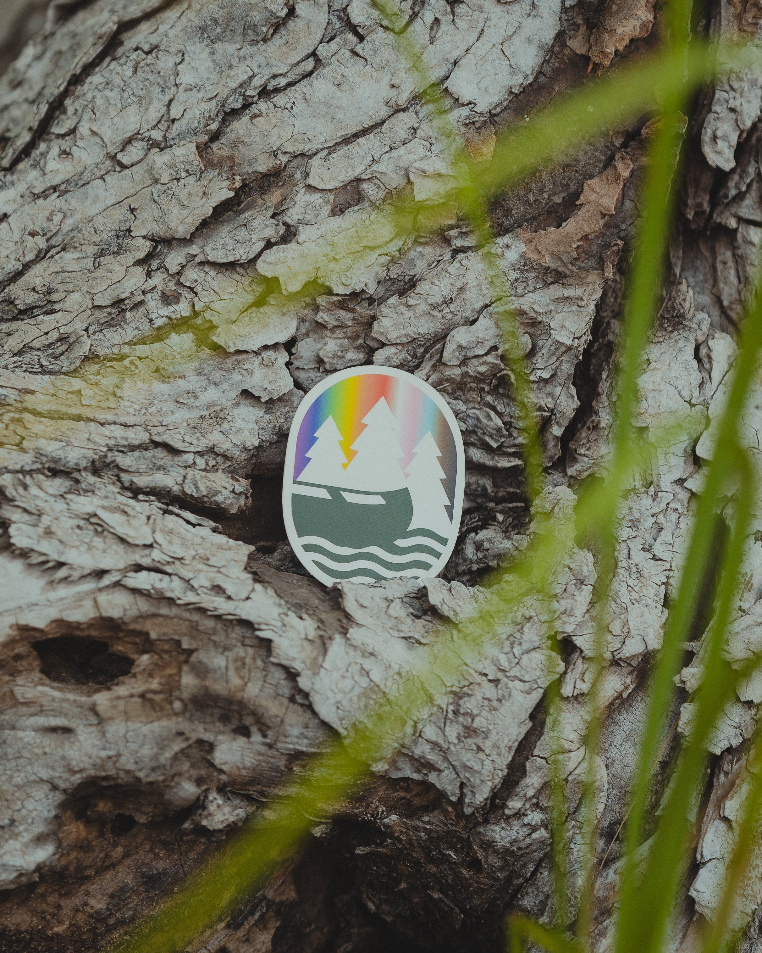 Friends of the BWCA Pride Icon Sticker | Ursa Minor Outfitters